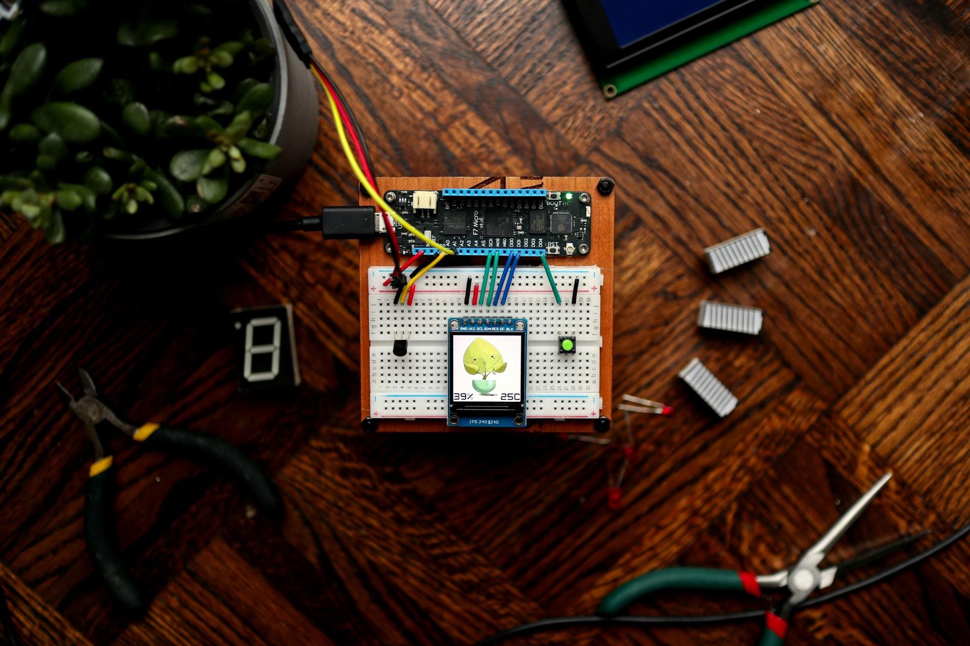 Polymorph Labs Ghana Limited | Software Agency